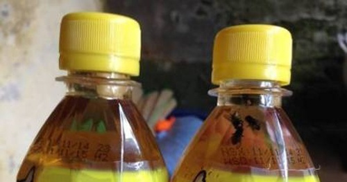 Sao 1 con ruồi trong chai Number 1 lại “bẩn” hơn 5 con ruồi trong chai ...