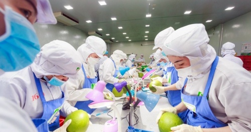 Chinh phục 'miền đất hứa'