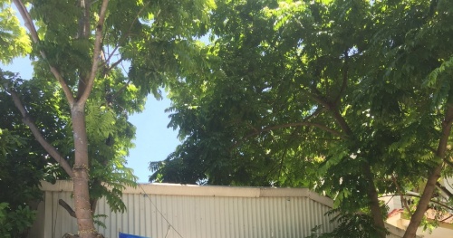 Công ty TNHH NEFA Việt Nam: 'Mập mờ' chứng nhận, chất lượng sản phẩm có ...