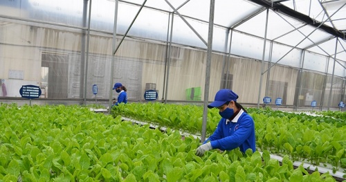 TCVN 11041-1:2017 - yêu cầu chung với sản xuất chế biến, ghi nhãn sản ...