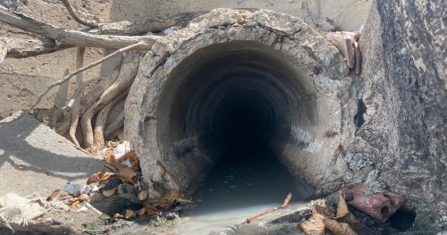 Bà Rịa - Vũng Tàu: Quán ốc Tự Nhiên bị phạt hơn 310 triệu đồng do xả ...