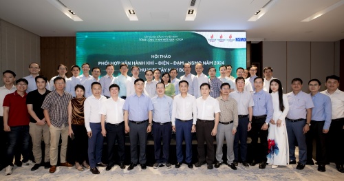 Phối hợp nhịp nhàng, vận hành hiệu quả hệ thống khí - điện - đạm trong ...